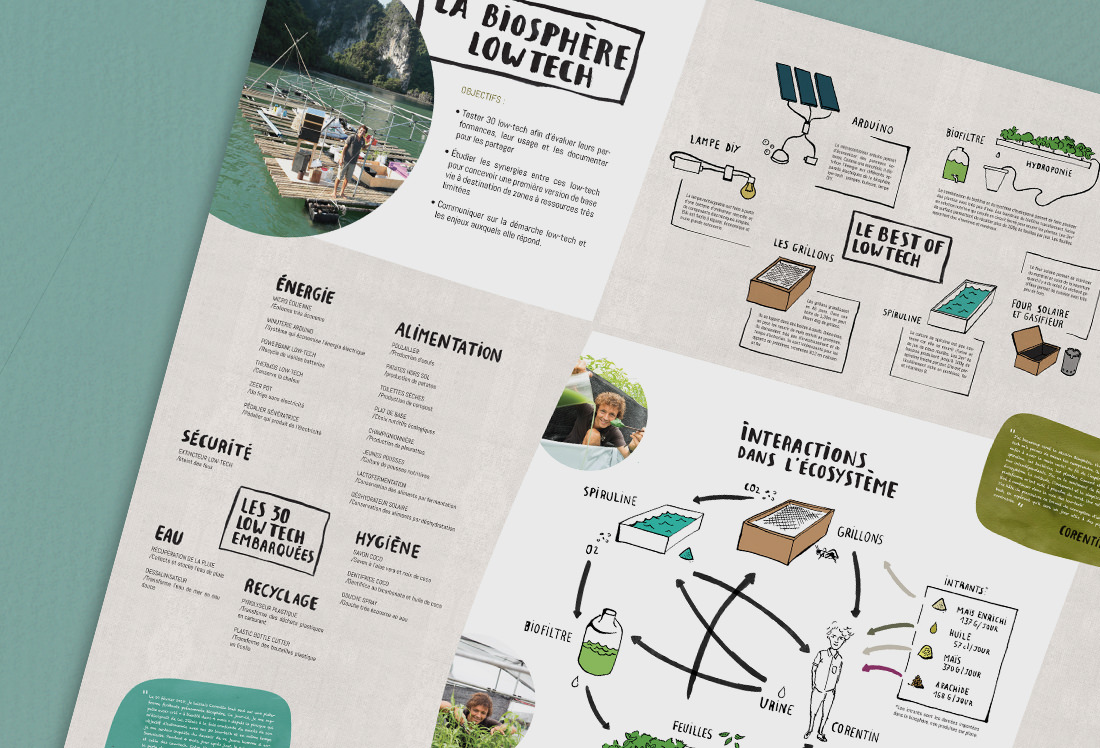 gold-of-bengal-portfolio-vaguegraphique - Vague Graphique